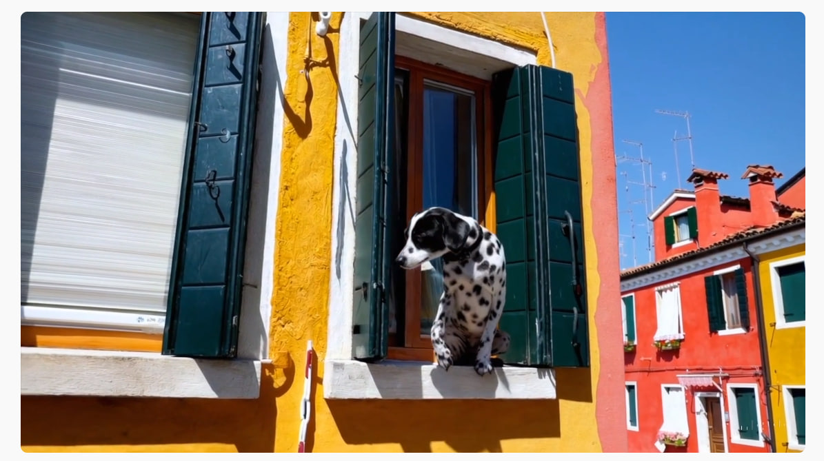 Is Sora Free to Use? - Acorn Aspirations